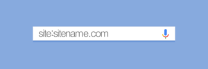 7 Ways to Search Within a Website Using Google - Orbiting Web